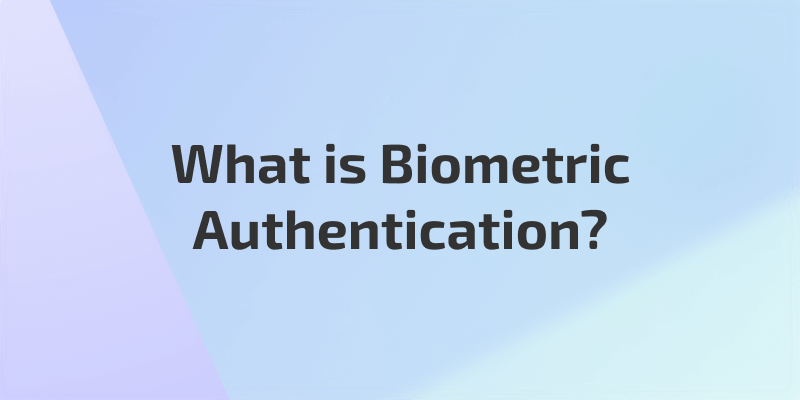 What Is Biometric Authentication Types Use Cases